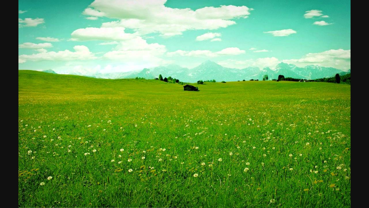 Dil Ka Raja (Himmatwala) - TheSongPedia