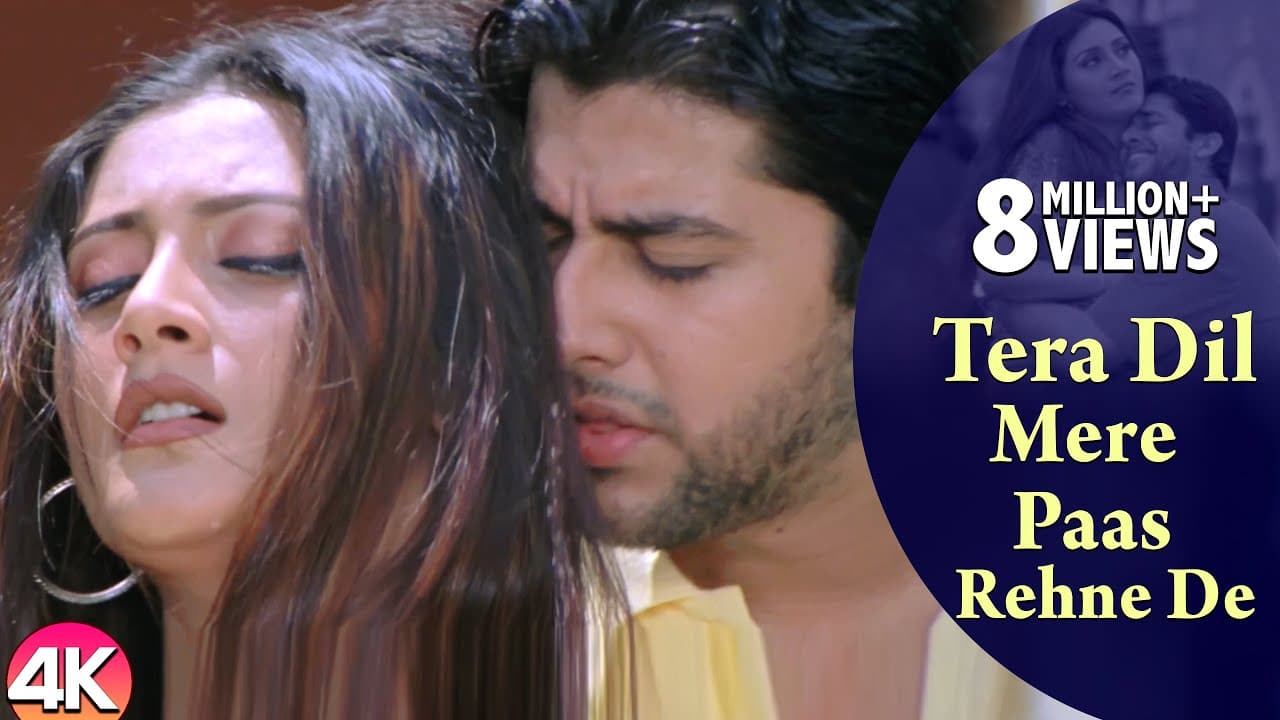 Tera Dil Mere Paas Rehne De (Hungama) - TheSongPedia